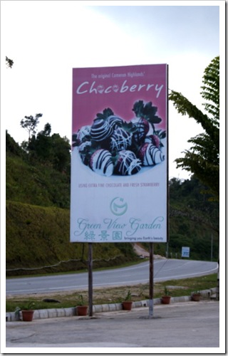 Life Thru The Lens: Green View Garden @ Kg Raja, Cameron Highlands